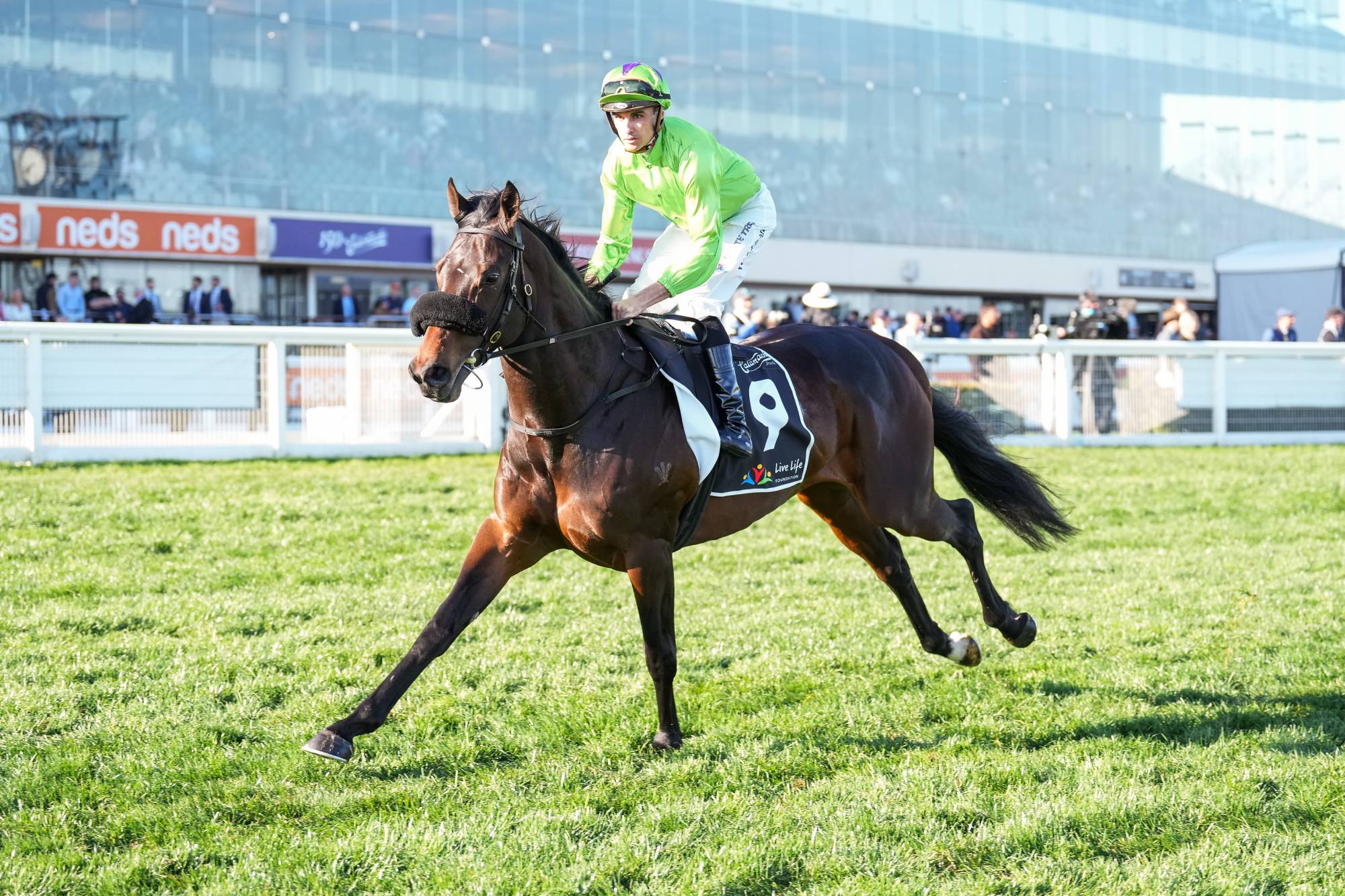 Melbourne Cup 2023 field, horses, form guide and finishing order - ABC News