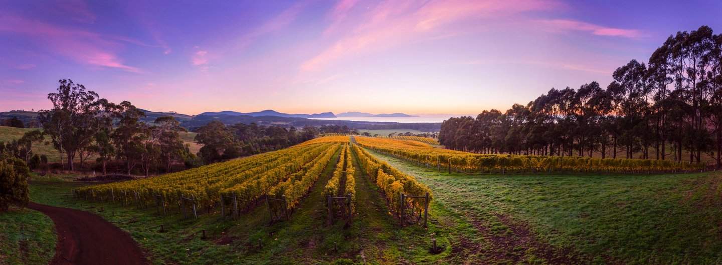 Sense of Place: Meg Bignell, Bream Creek, Tasmania - ABC Radio National