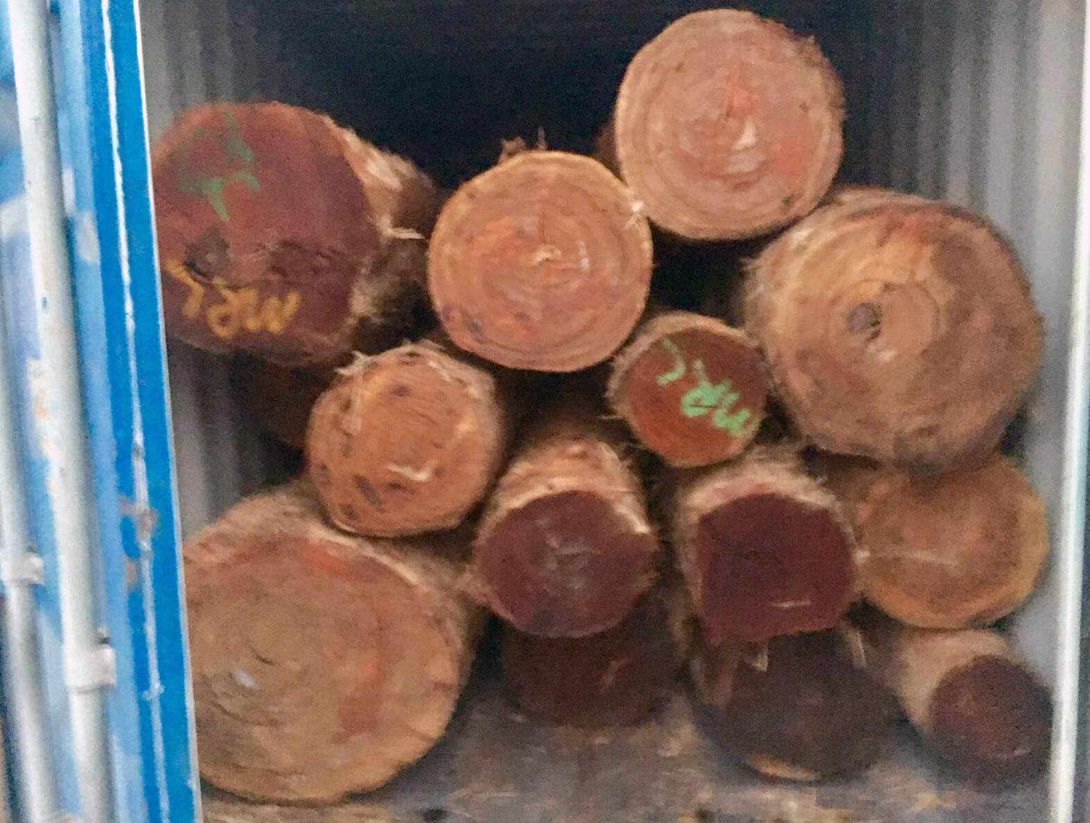 Parkside Timber buys WA's Nannup Timber Processing amid malpractice ...