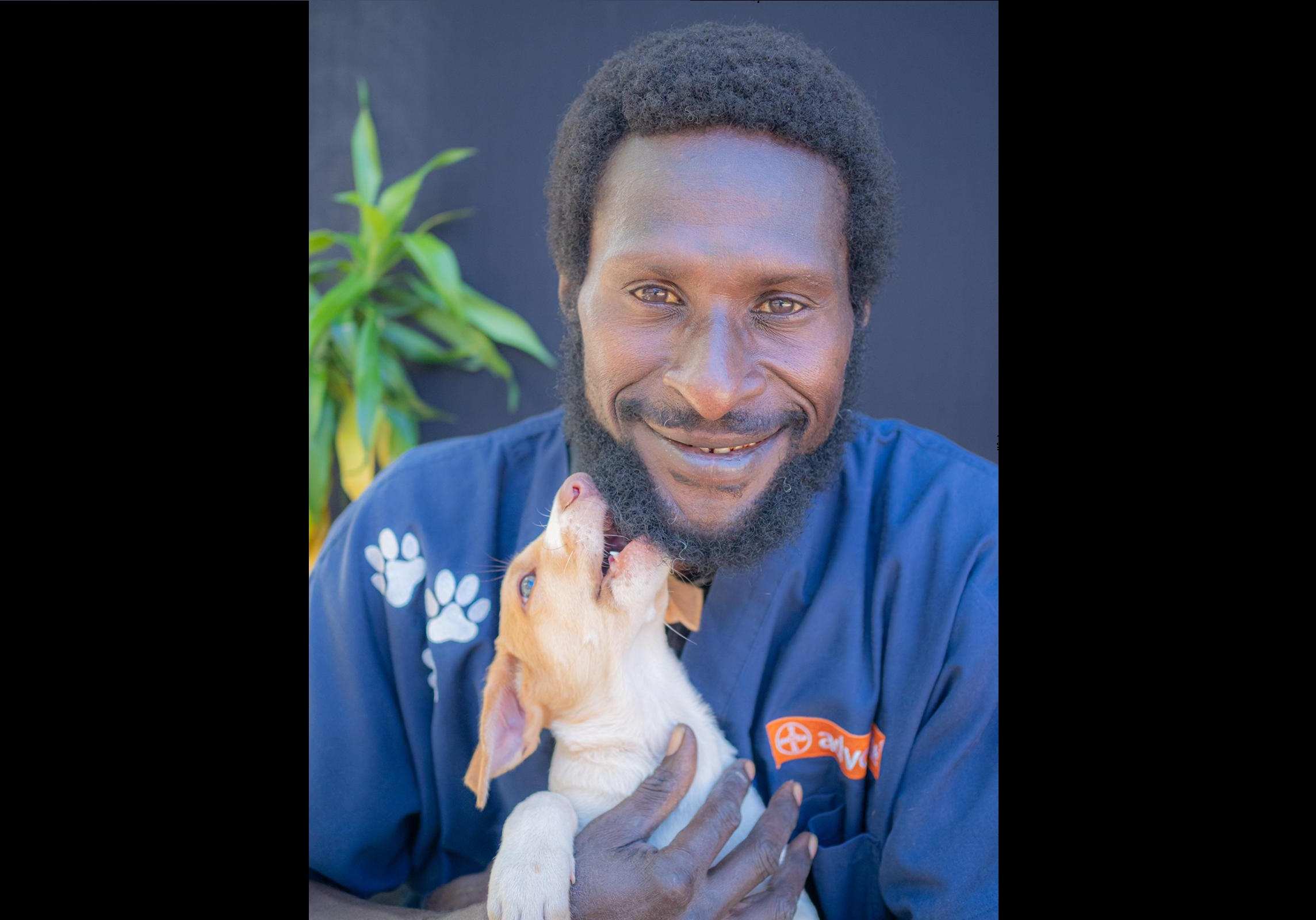 Animal welfare groups call for stronger street dog management across ...