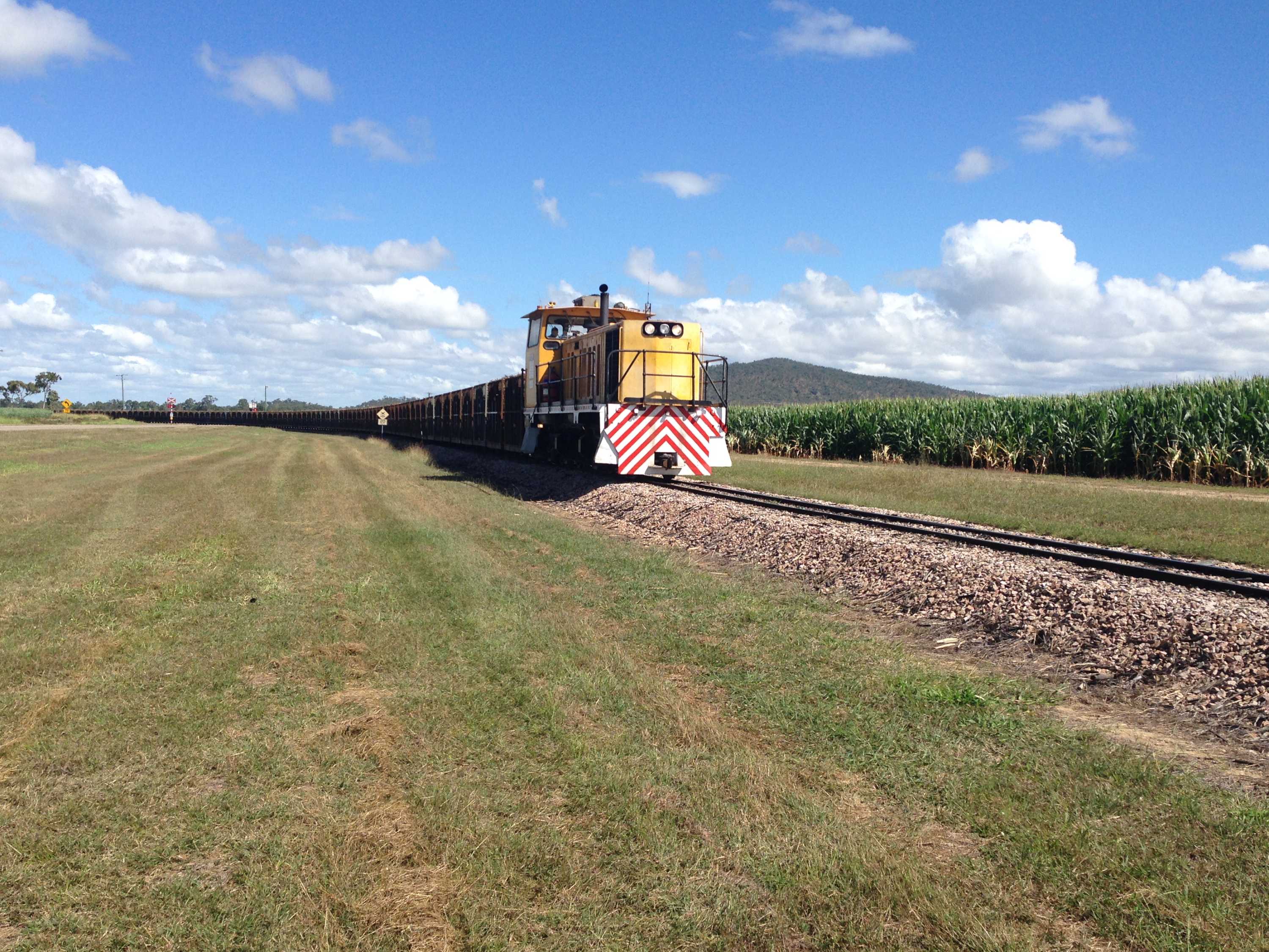 Remote control technology transforms cane trains to driver-only ...