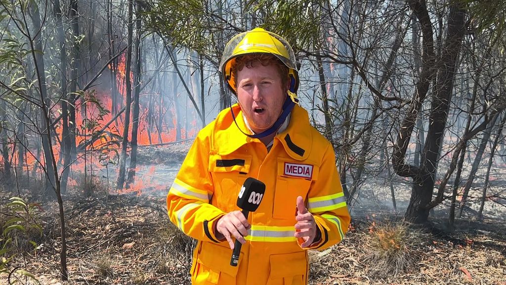 The latest fire update from Tara - ABC News