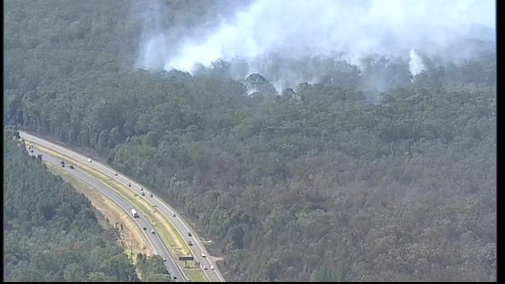 Sunshine Coast fires continue - ABC News