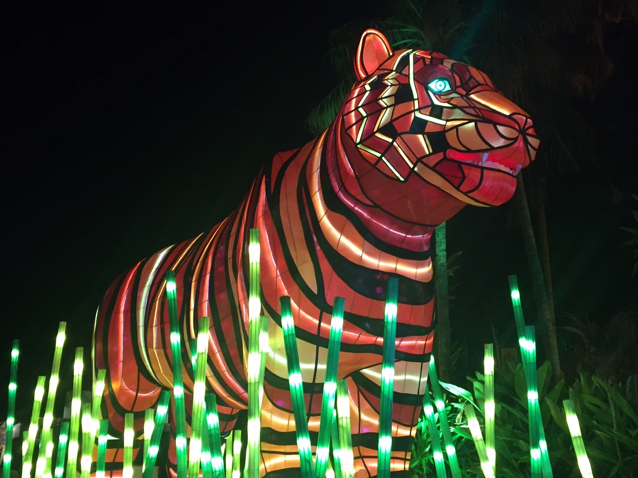 Vivid 2016: Animals to light up Taronga Zoo during Sydney festival ...
