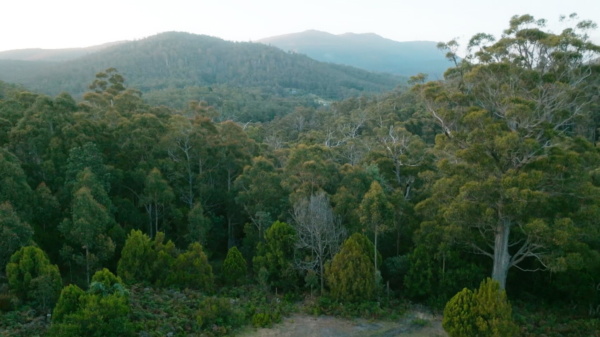 Sustainability - ABC Education