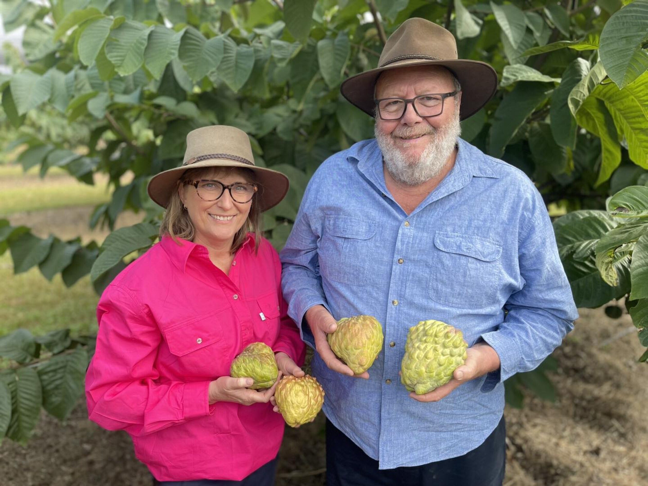 Farmer startups bringing chocolate capsicum and pink custard apple to ...