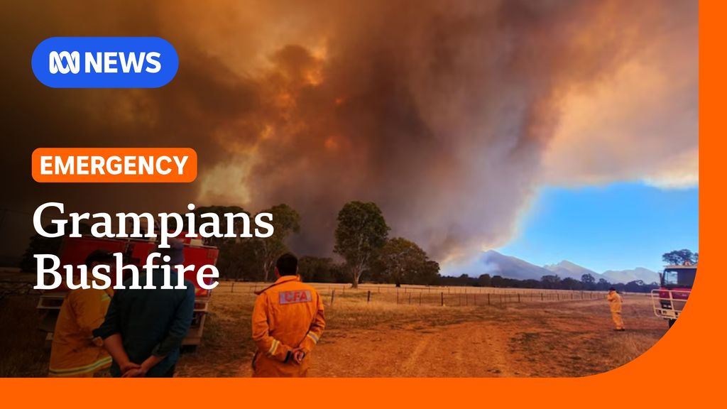 News From Victoria : ABC iview