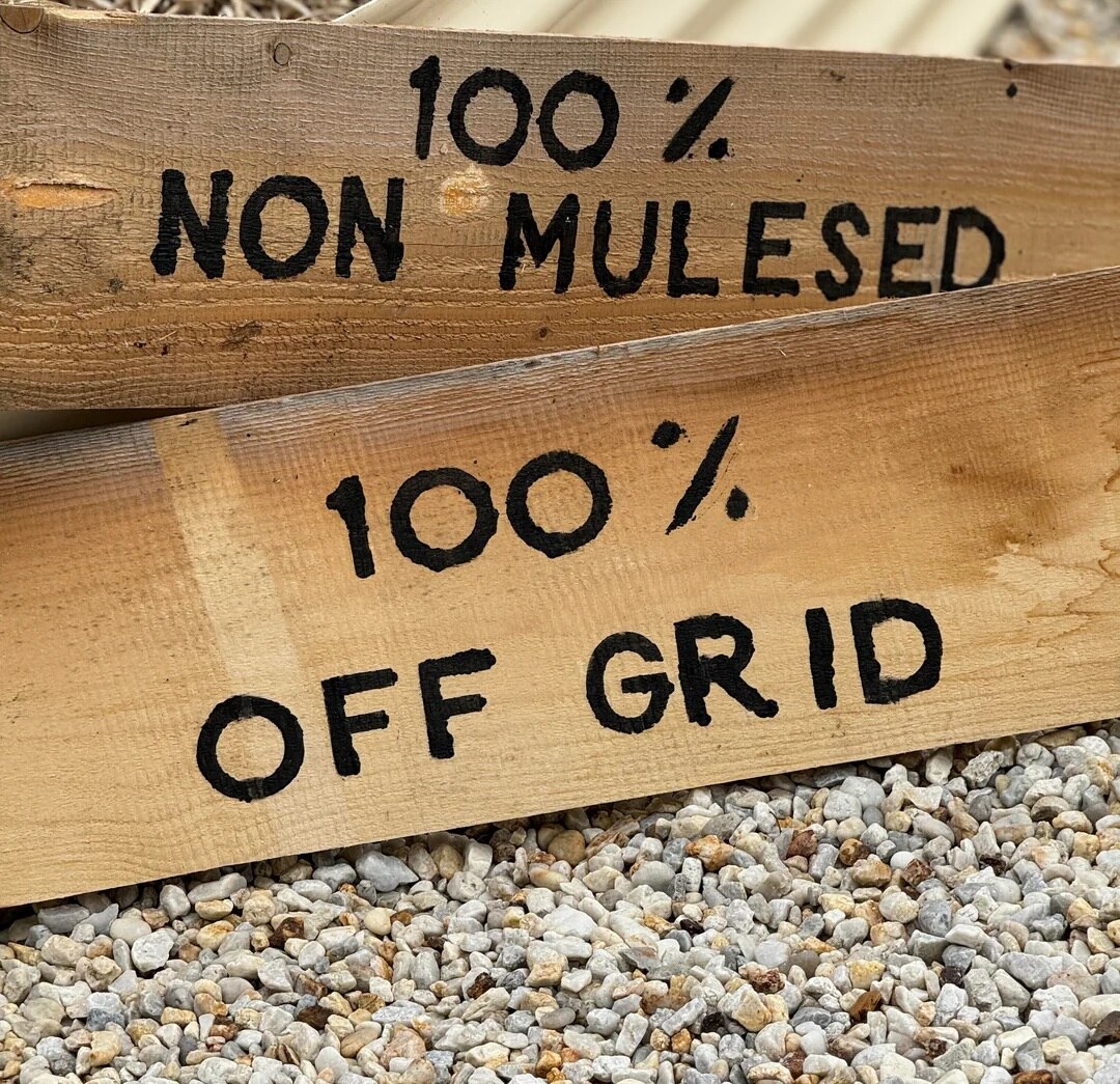 No power bill for 10 years for wool mill that switched to renewables ...