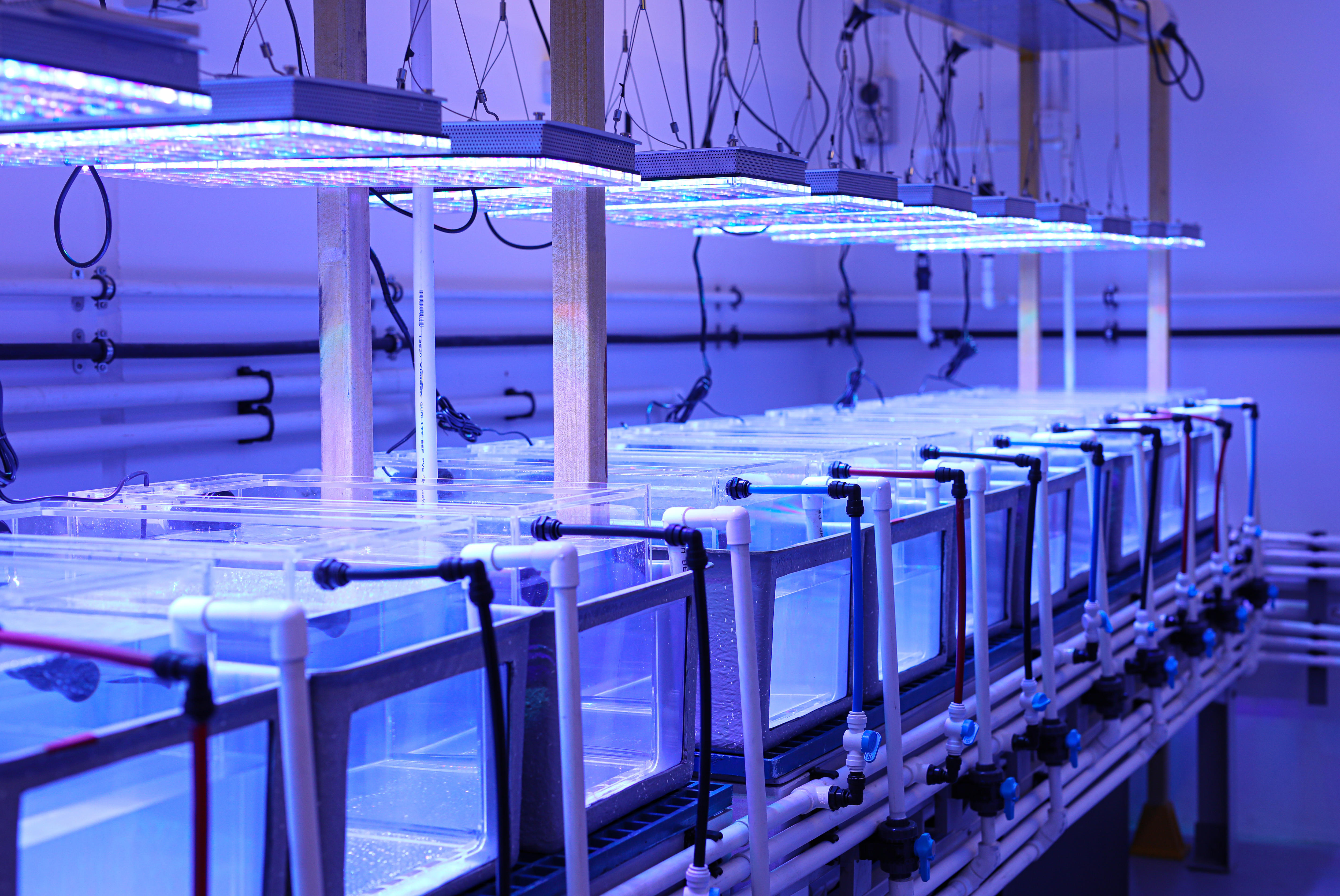 Mining billionaire hopes multi-million dollar research centre will ...