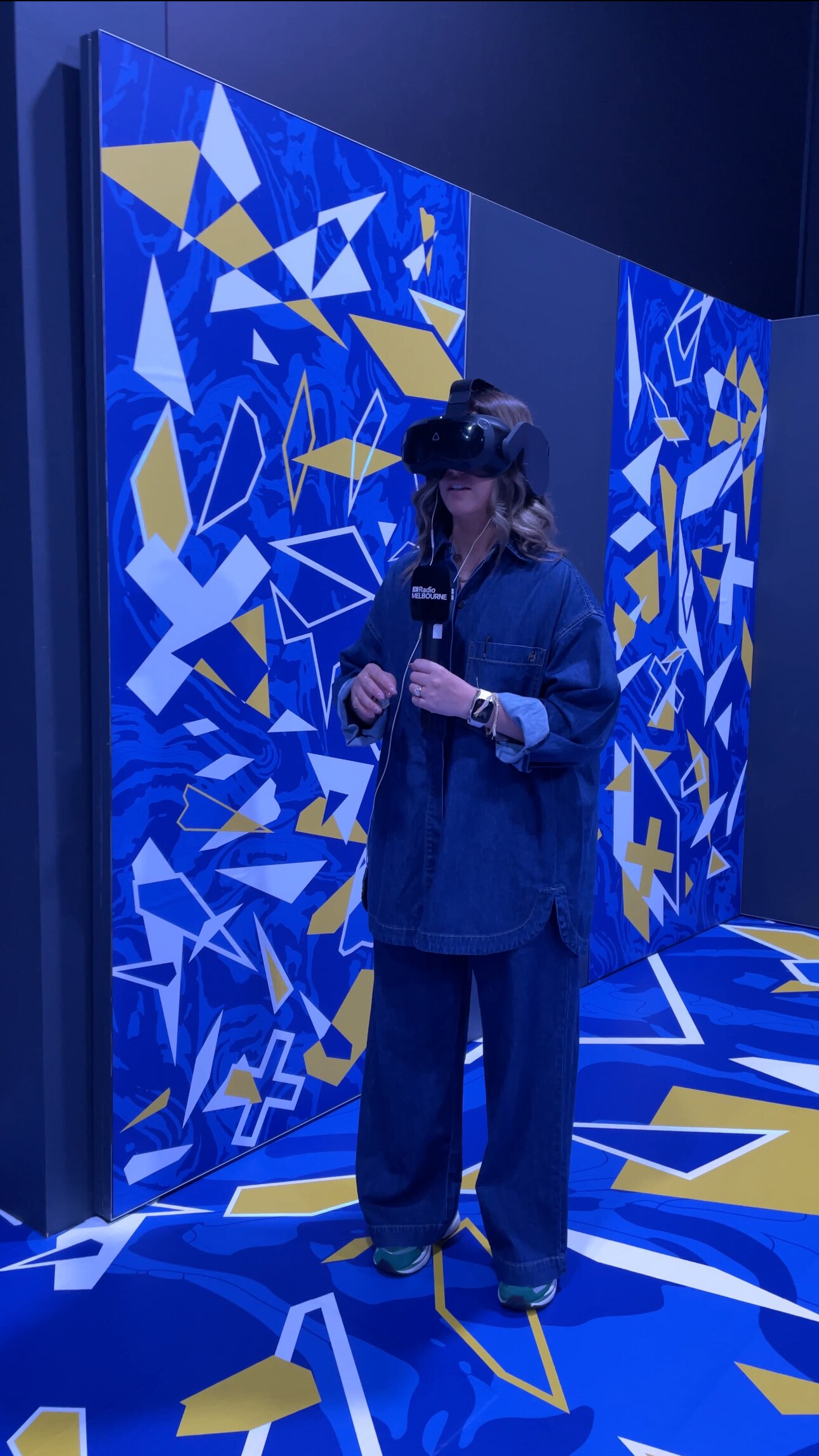 Sharnelle steps into Van Gogh's 'wild' VR world - ABC listen