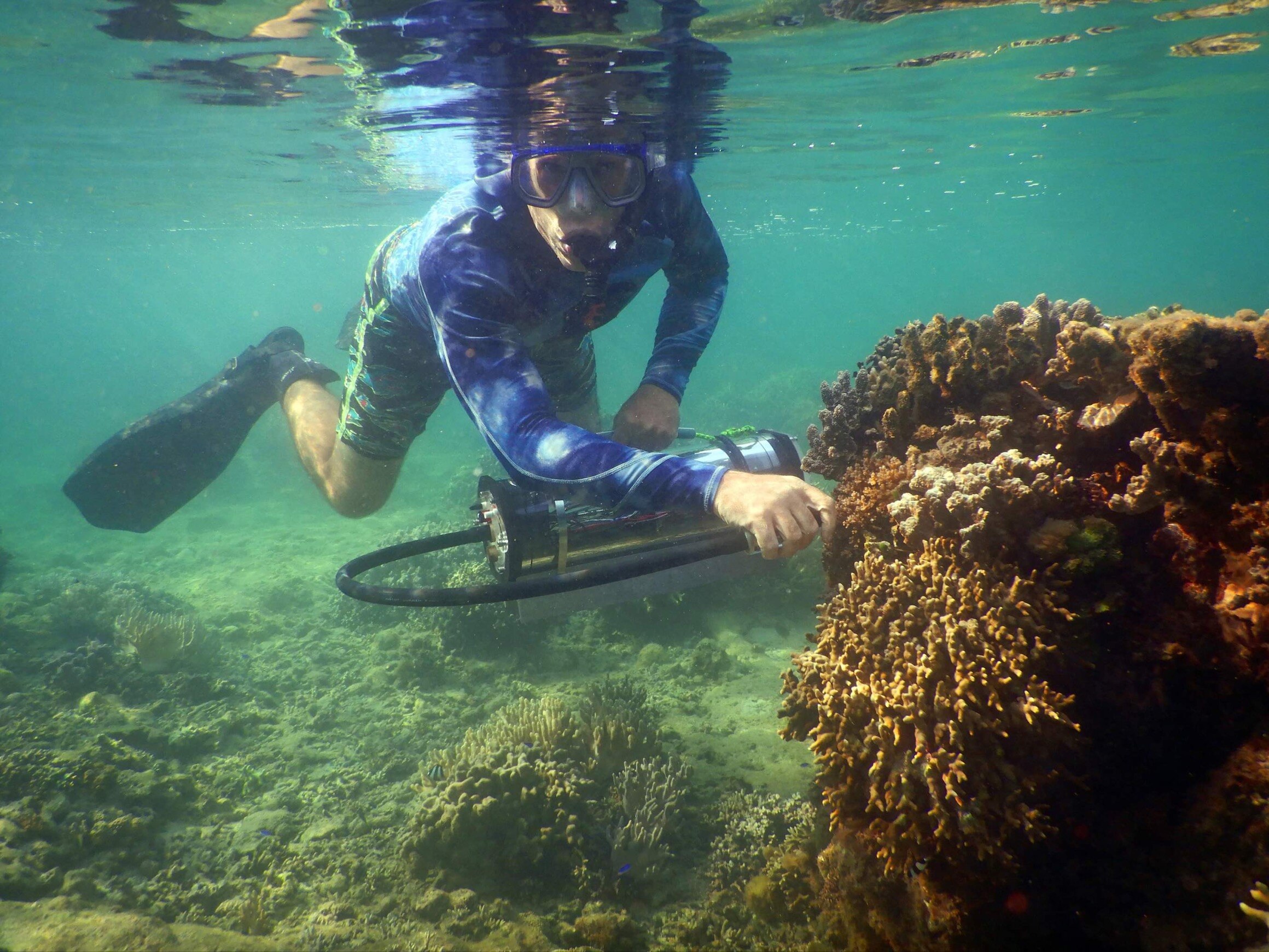 Fiji's beaches and reefs face an uncertain future but this scientist ...