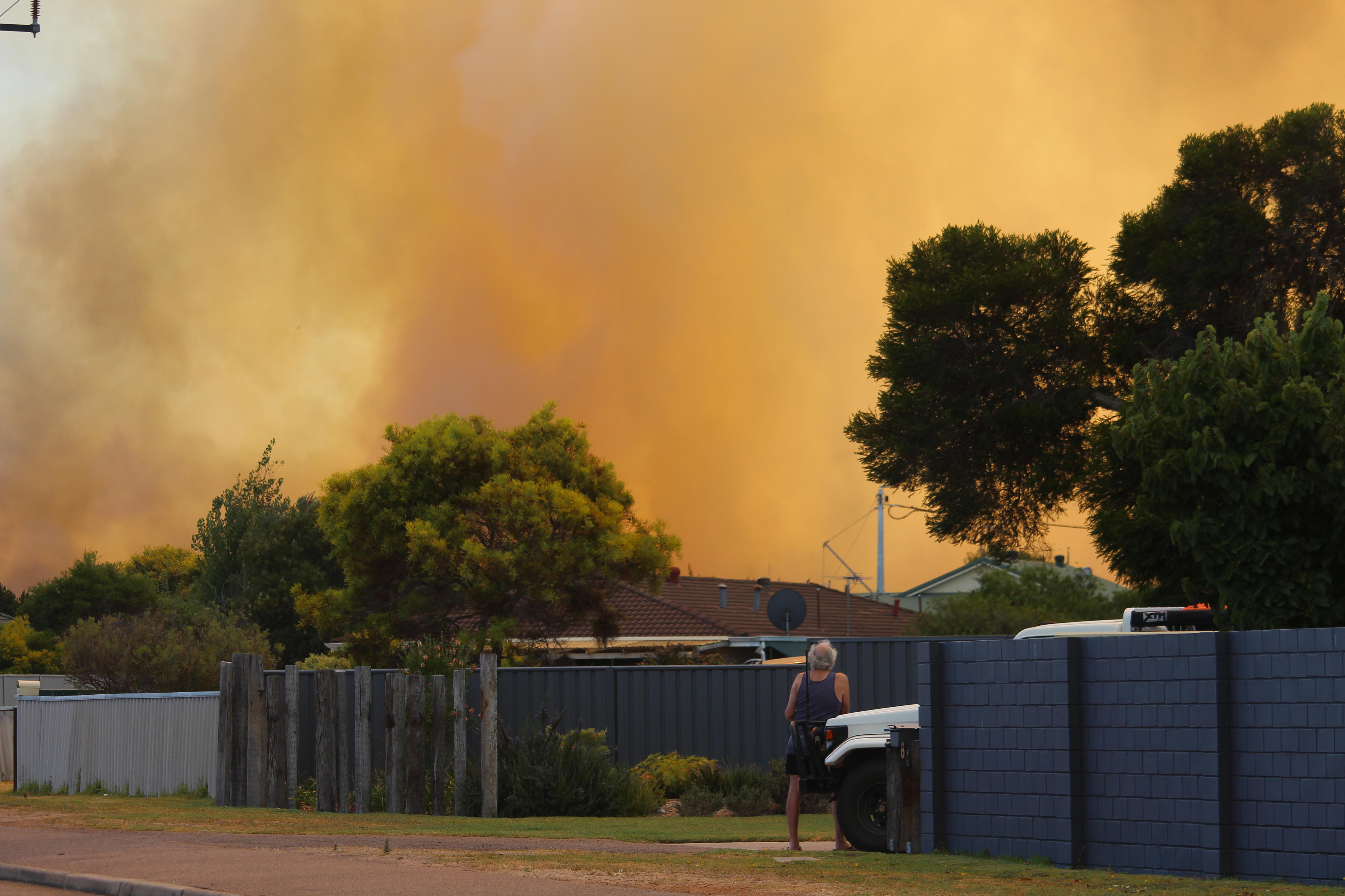 Bushfires - Topic - ABC News