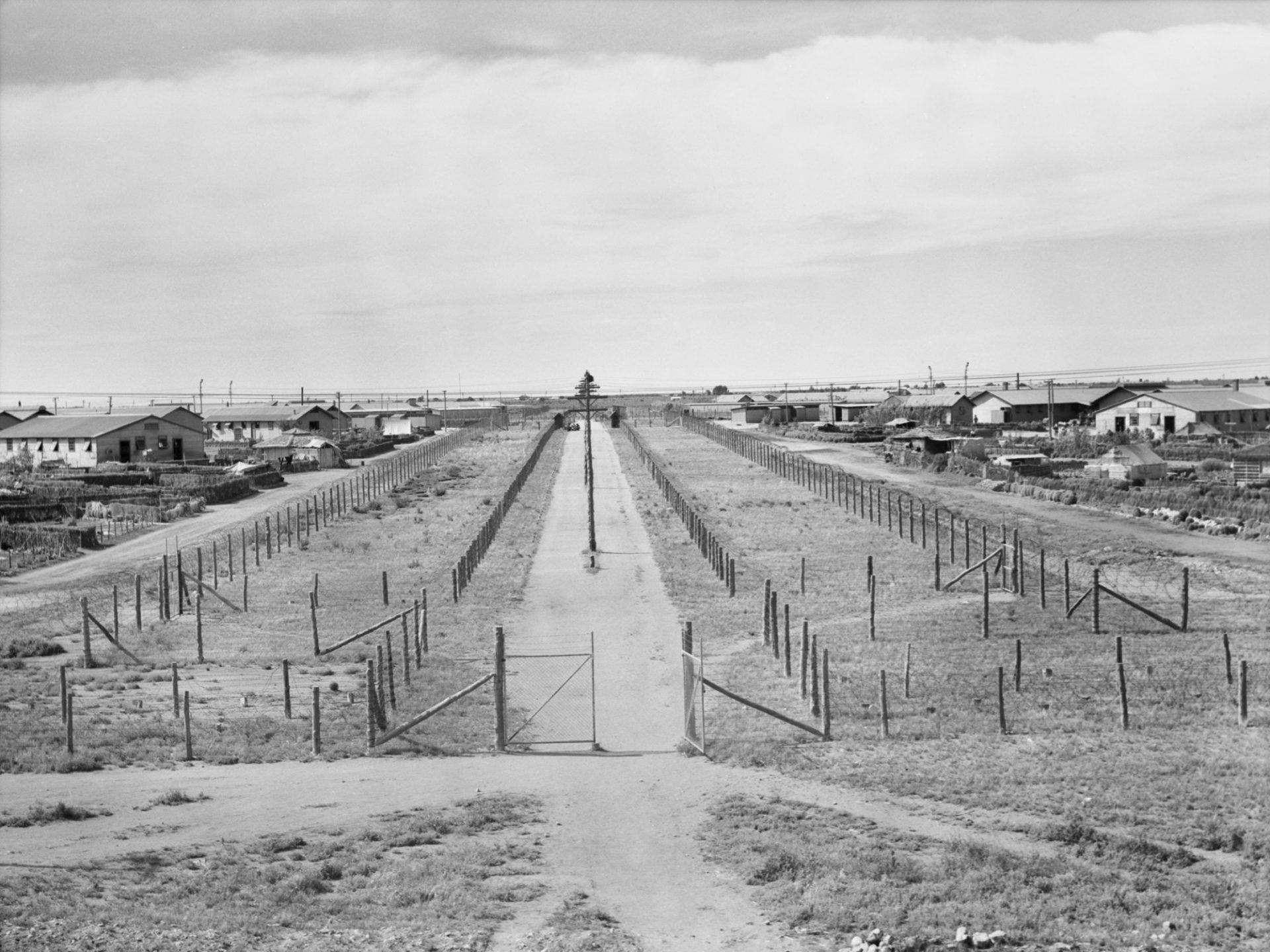 Loveday, the WWII internment camp in the Riverland which fed the army ...
