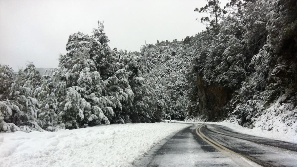 After days of wind and rain, Tasmania blanketed in snow - ABC News