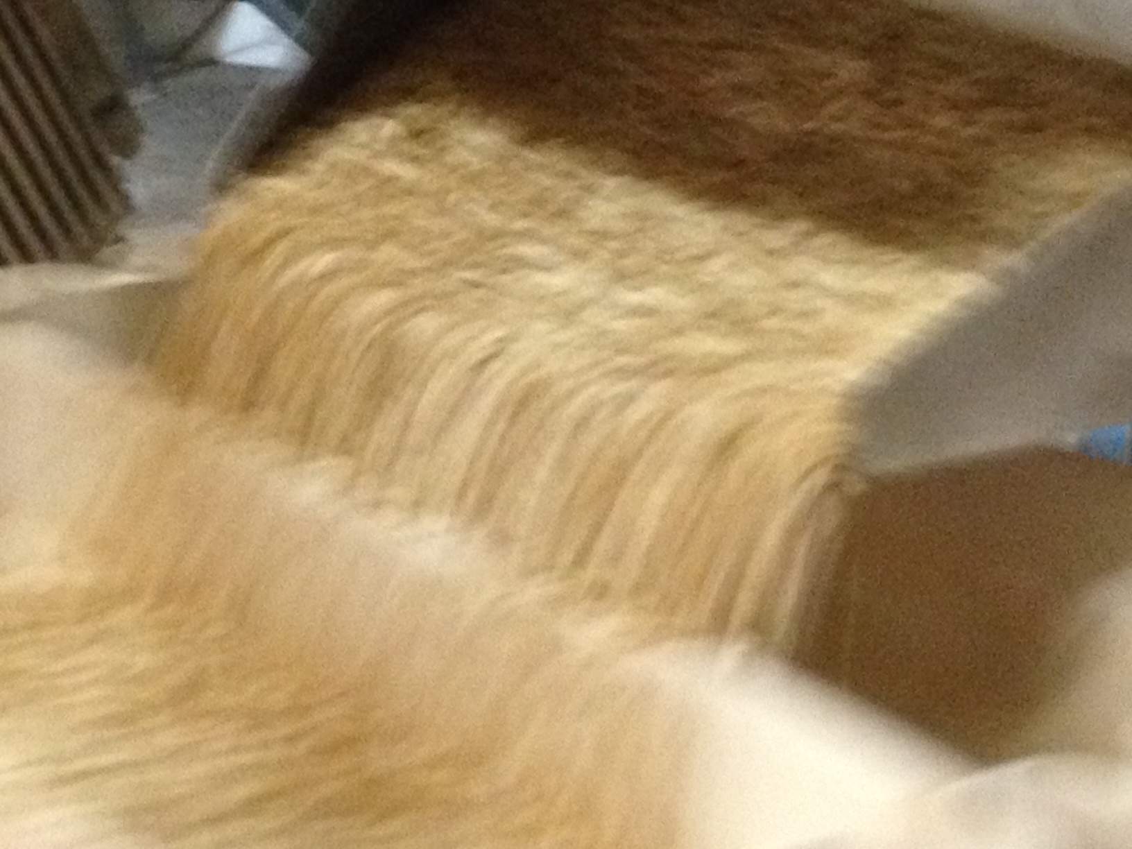 Farmers tour oat mill to see their product processed. - ABC News