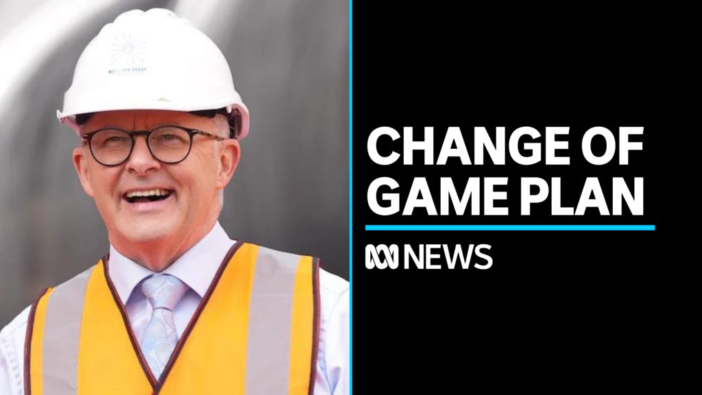 'Chance to show off' the strength of Albanese's team: David Lipson ...