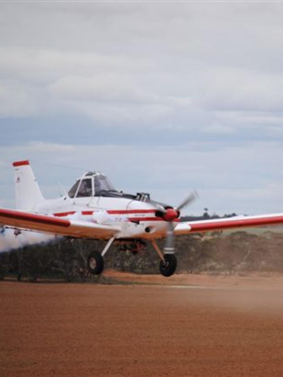 Farmers fight to save harvest from hungry hoppers - ABC News
