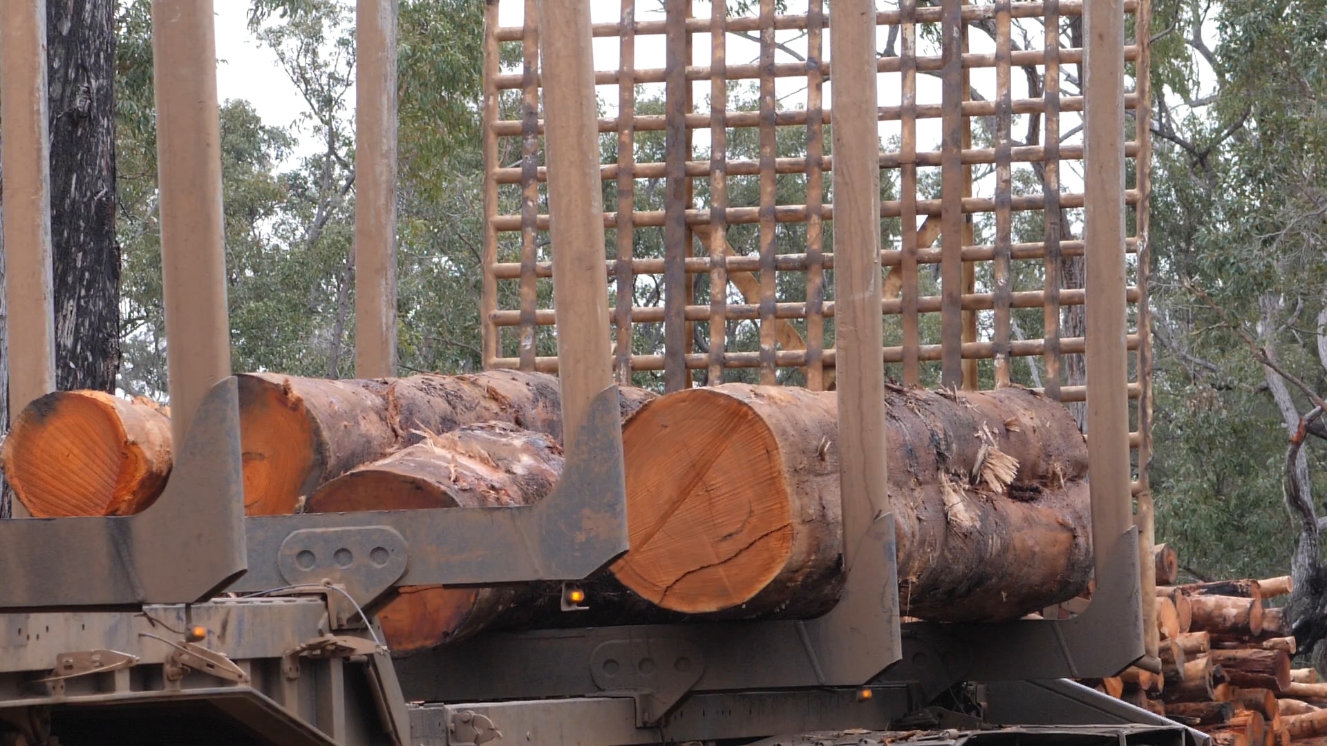 WA Forestry minster at loggerheads with timber company over $25 million ...