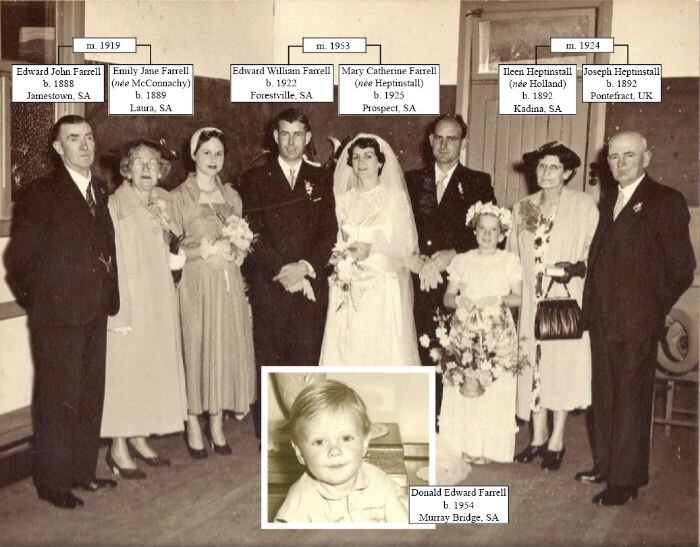 Citizenship documents, family histories of all federal senators ...