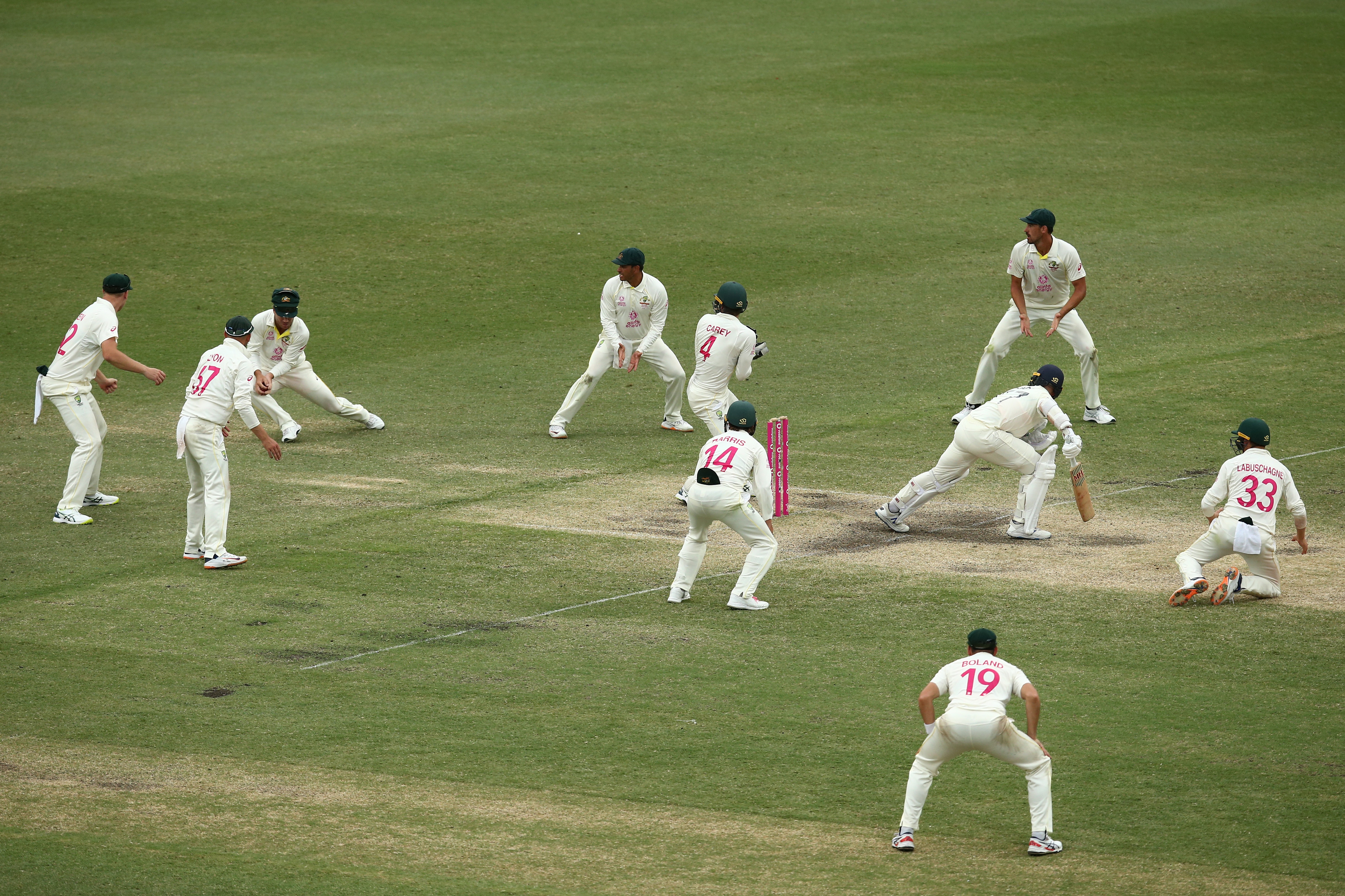 Cricket - Topic - ABC News