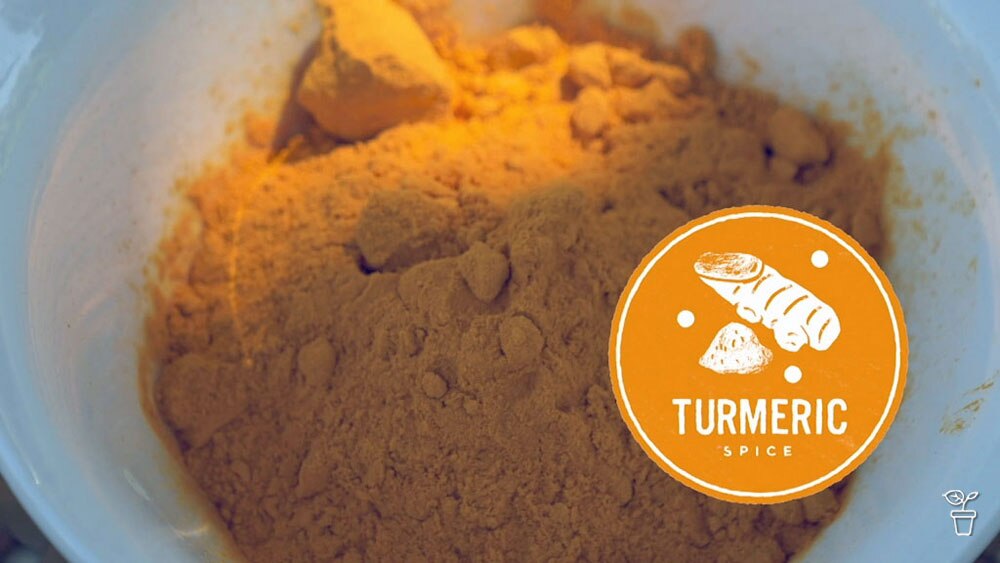 Home Grown Curry - Gardening Australia