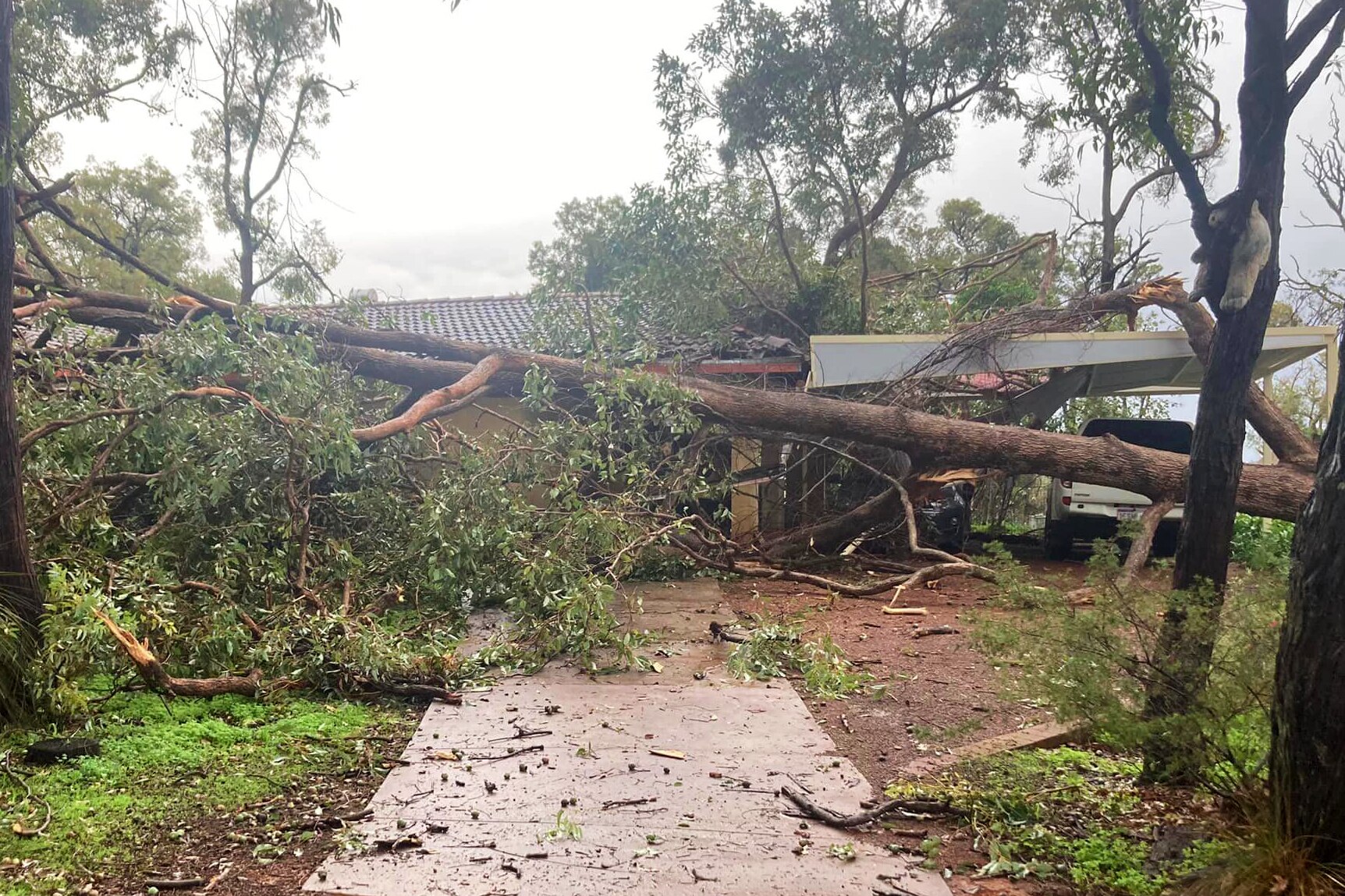 Roleystone residents wake to trail of destruction after severe ...