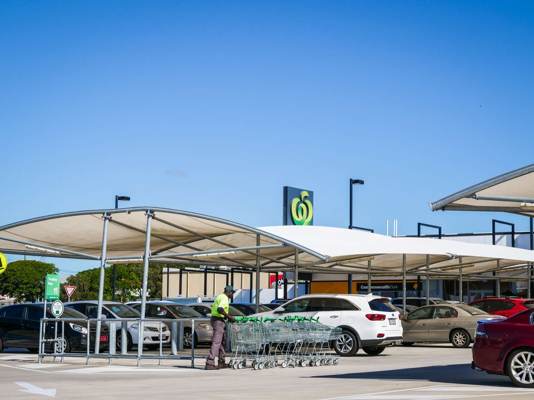 Queensland's happiest trolley collector pays it forward to thank ...