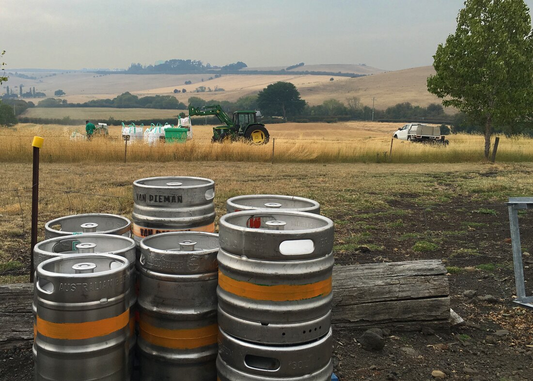 Was bread or beer more important to ancient farmers? - ABC News