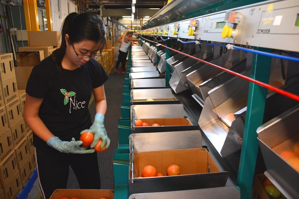 Expert says farmers could do more to capitalise on value adding ...