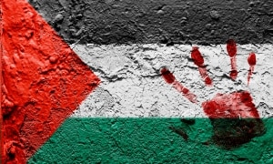 Palestinian national identity and the roadblock to peace - ABC News