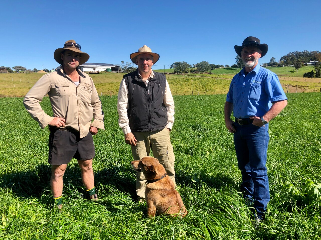 Regenerative biological pasture improvement trial gives sceptical dairy ...