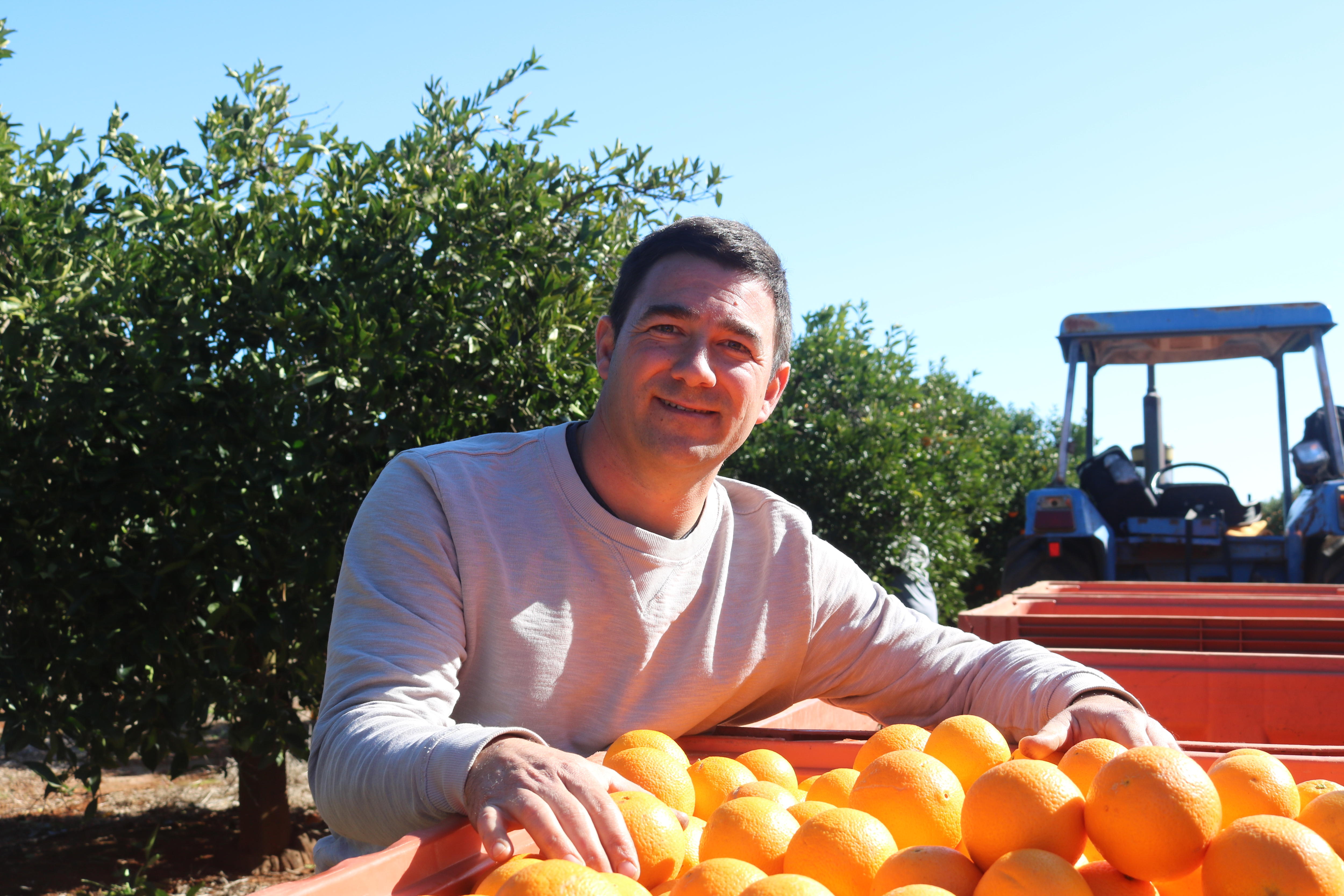 Orange industry in Australia shrinking to the point of collapse ...