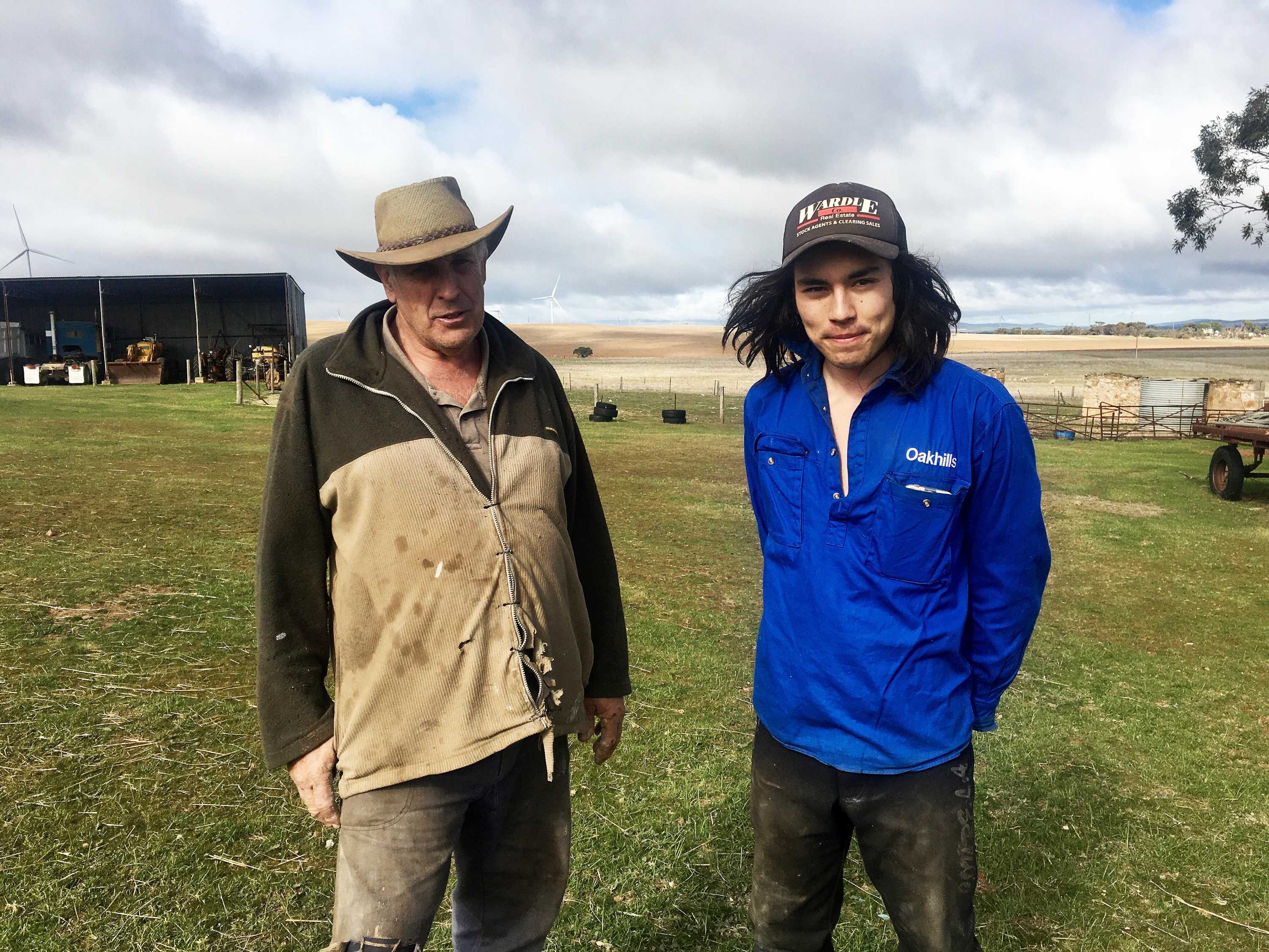 Tesla battery deal: Sheep graziers given one day to decide in favour of ...