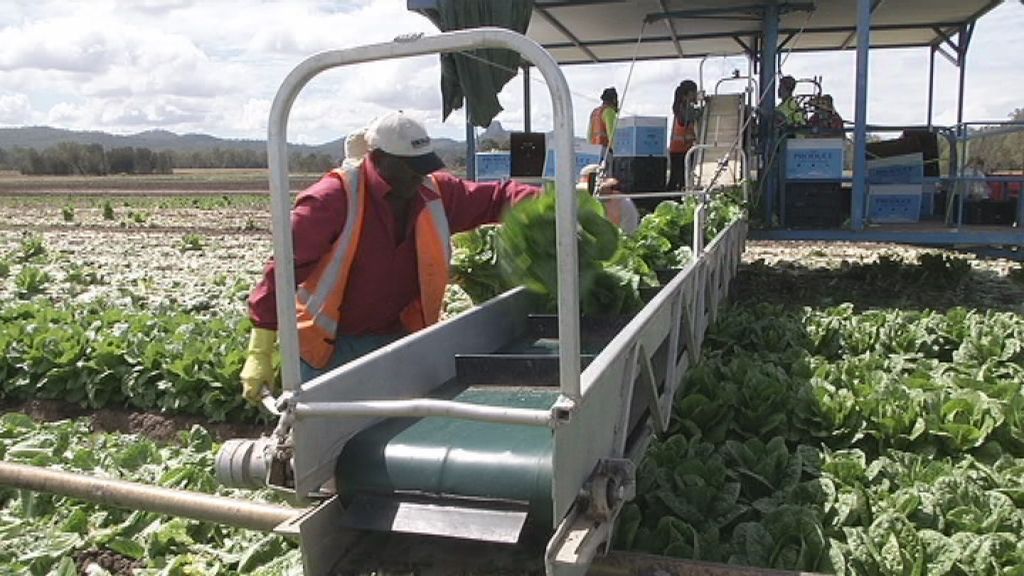 Peak Crossing - 4306 - Location - ABC News