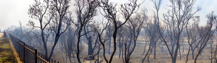 Perth firefighters brave heat to mop up blazes - ABC News
