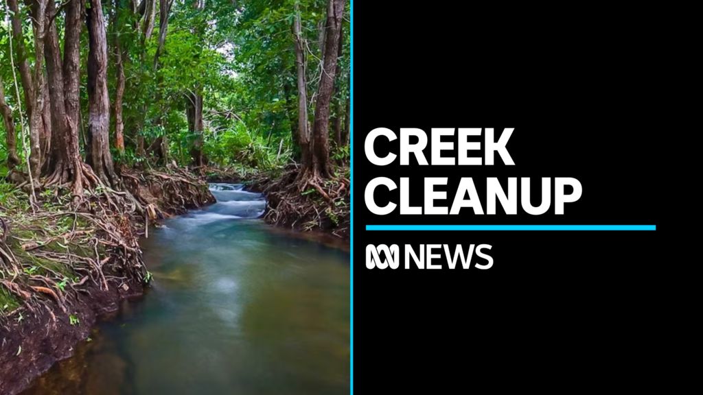 Creek cleanups gets underway in Darwin ahead of wet season - ABC News