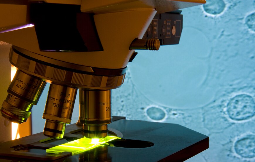 Scientists clone human embryos to make stem cells - ABC News