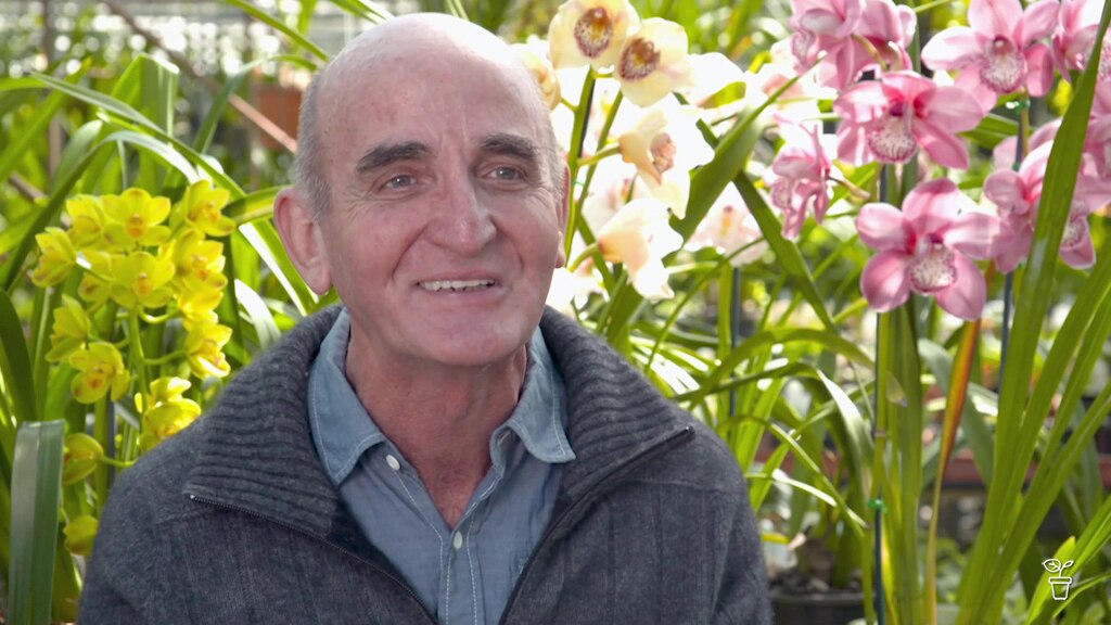 My Garden Path | Kevin Butler - Gardening Australia