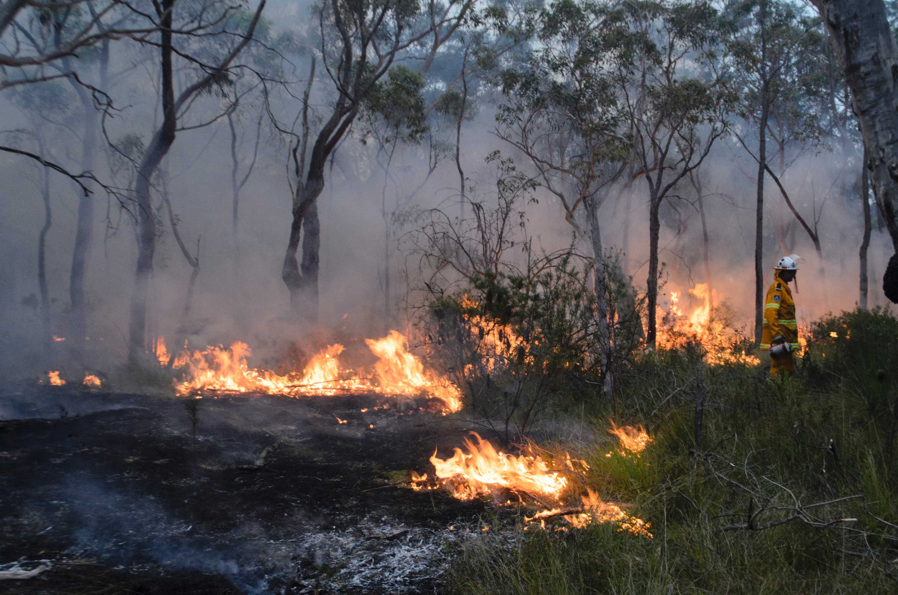 Your photos of the NSW bushfires: Mopping up and bracing for another ...