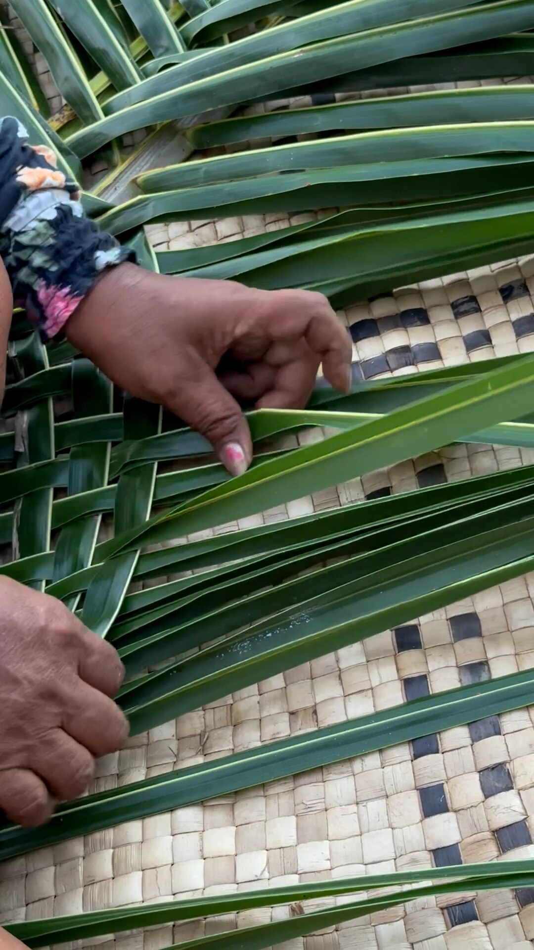 Locals in Fiji’s west are working hard to mitigate the impacts of ...