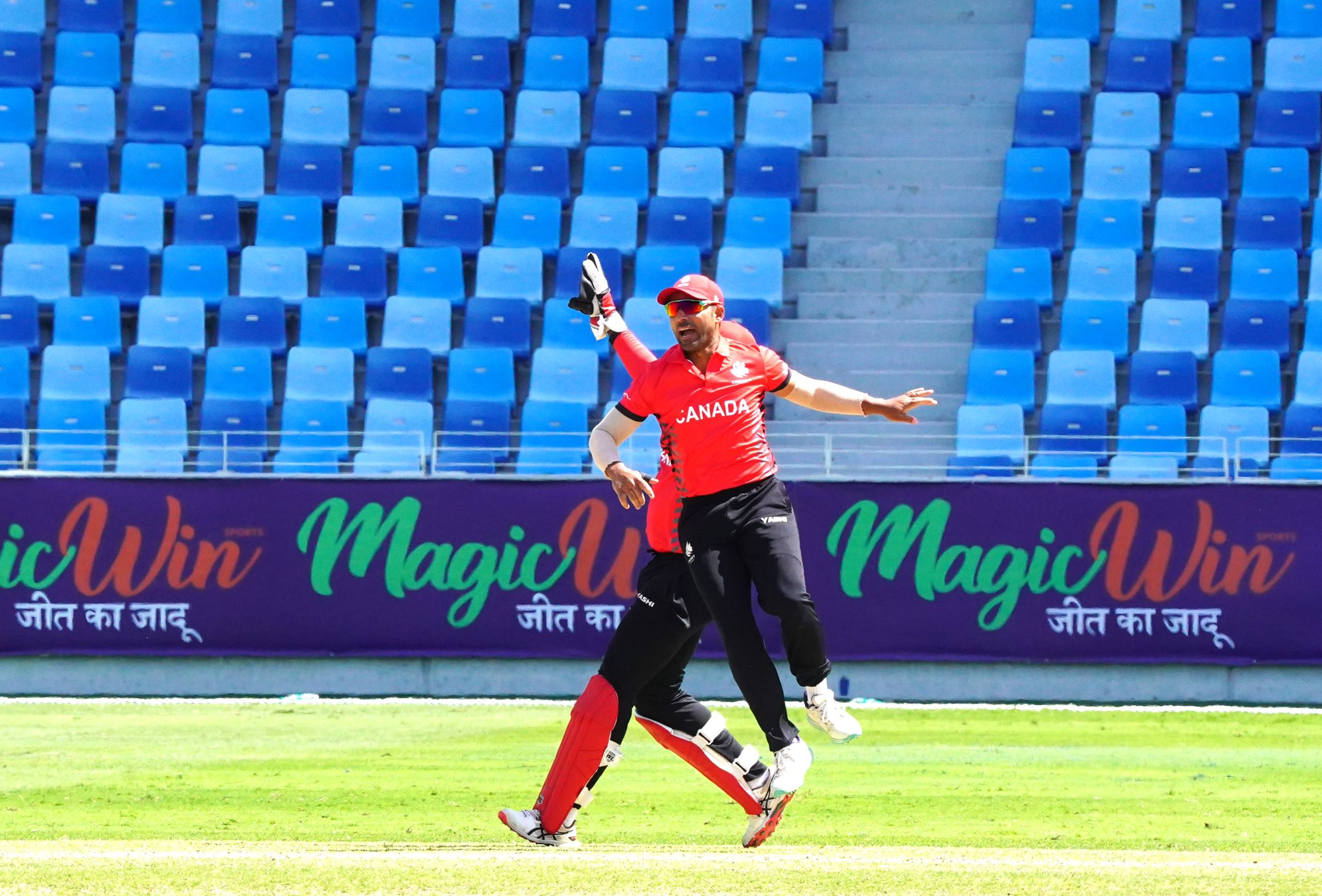 ICC T20 World Cup: Who will Australia play? What time are the games ...