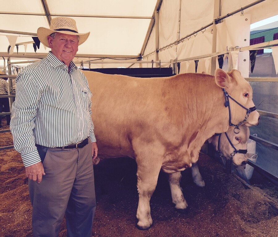 Qld livestock transport company Frasers shifts from destocking to ...