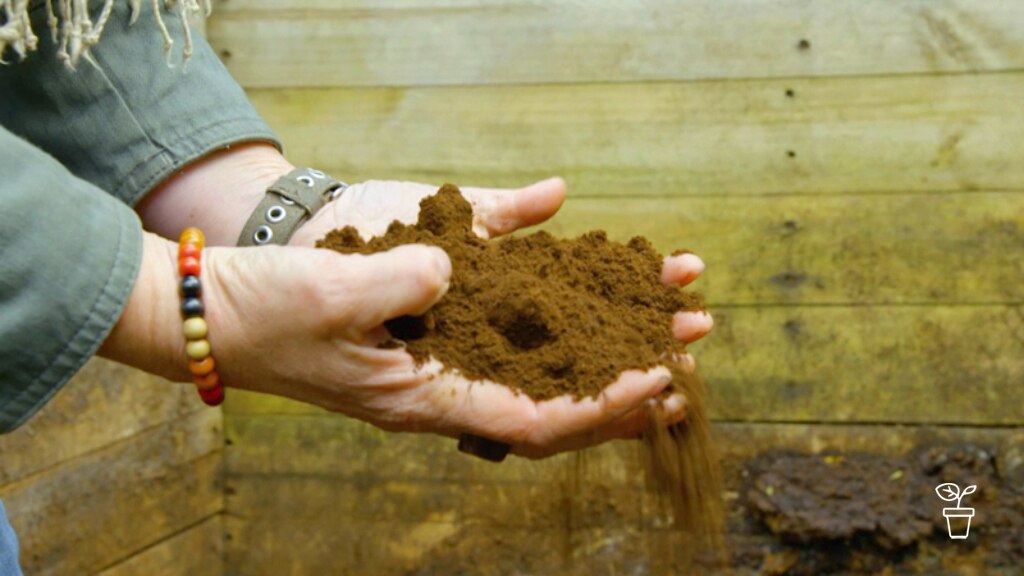Coffee Compost - Gardening Australia
