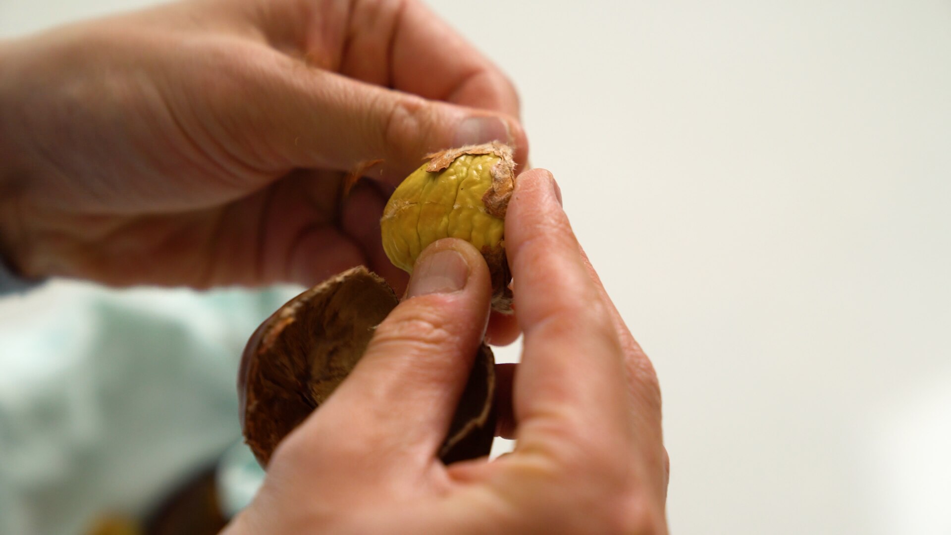 How to prepare and cook chestnuts - ABC News