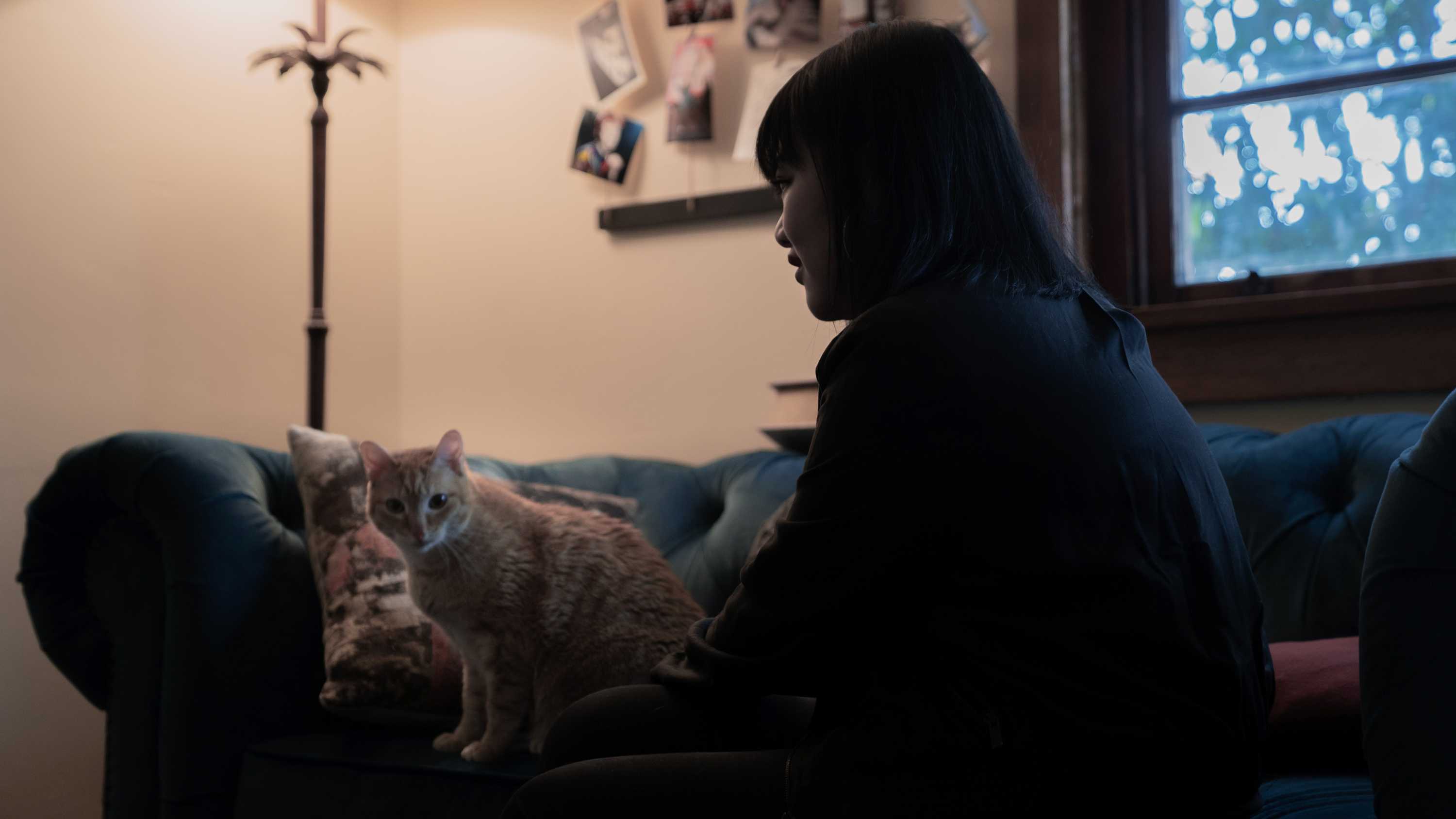 Secret rebels - ABC News