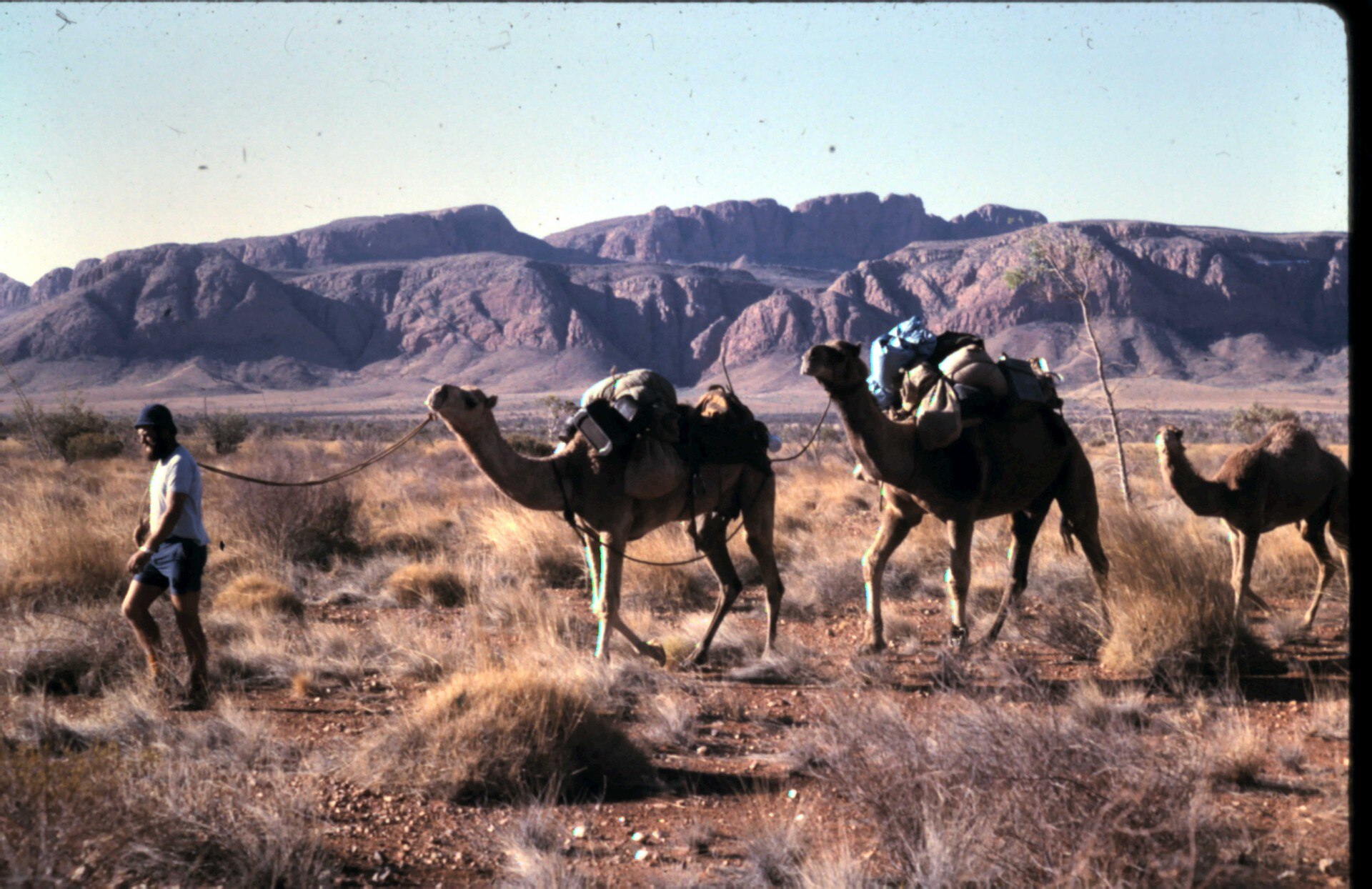 Central Australian historian Dick Kimber remembered after his death ...