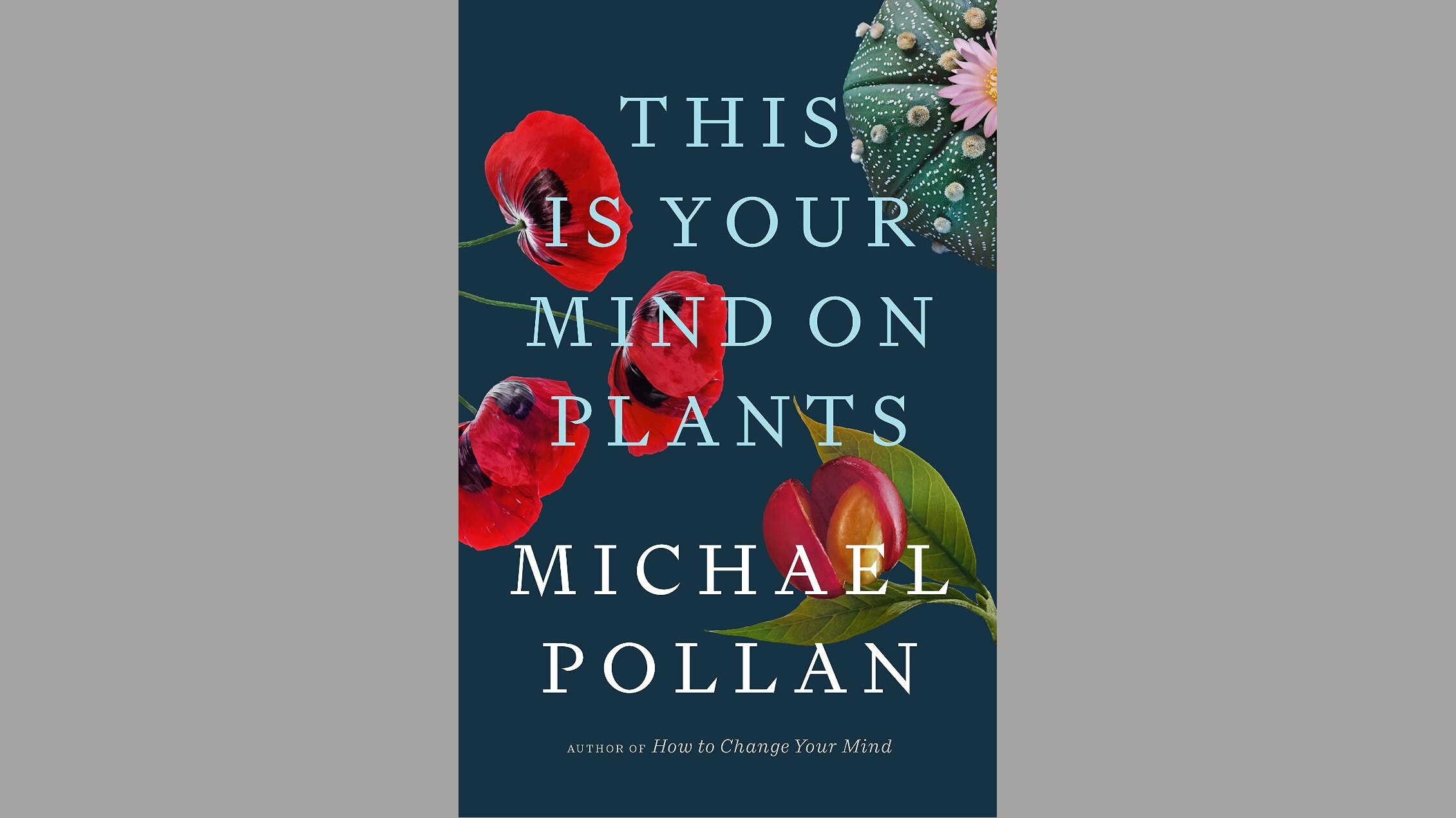 Plants help us change our state of mind - ABC listen