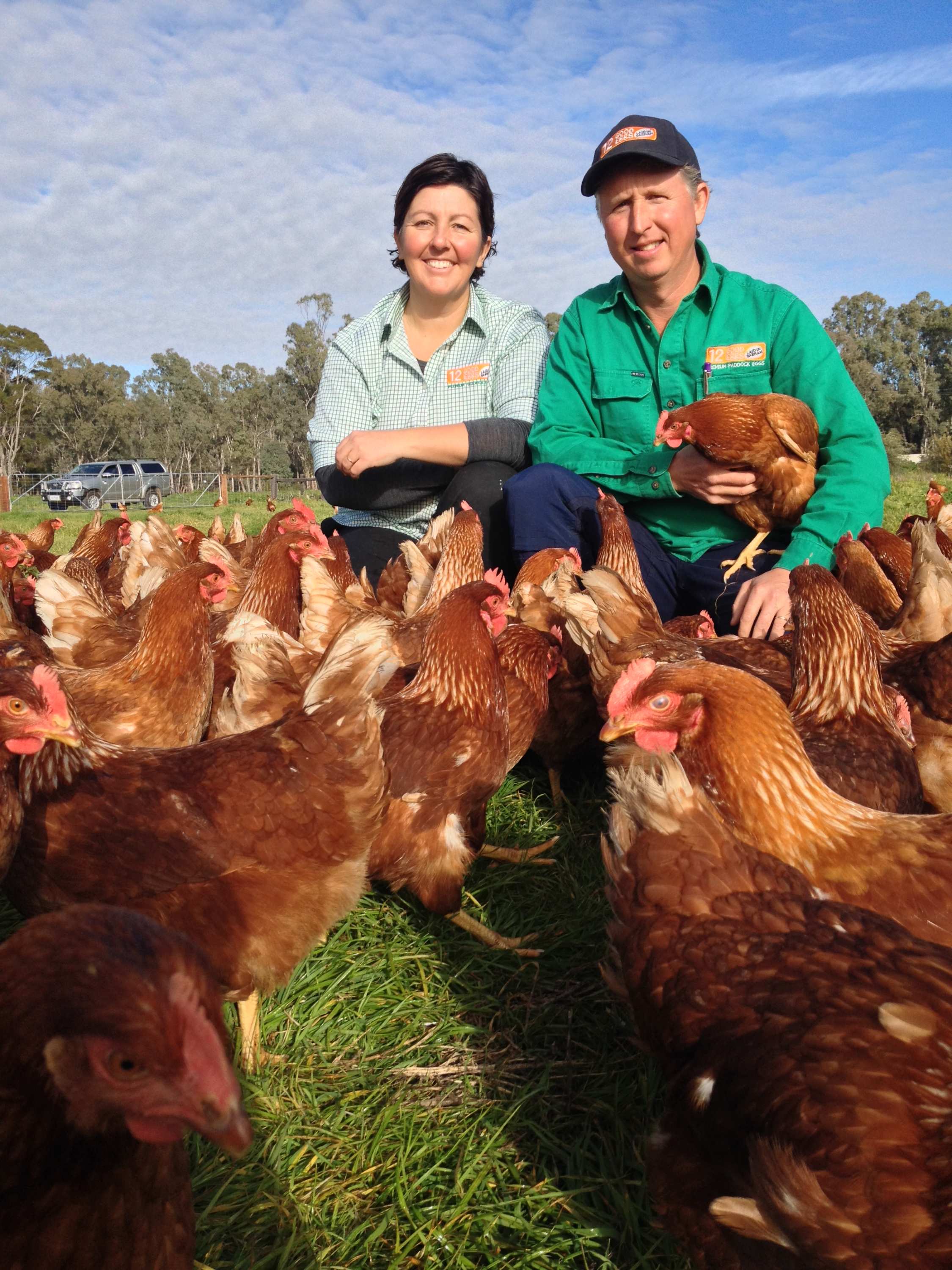 Marketing eggs to high end consumers - ABC News