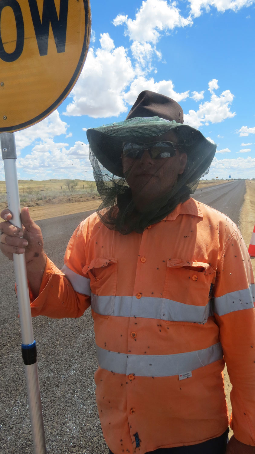 Fly numbers in outback Queensland worst in decades - ABC News
