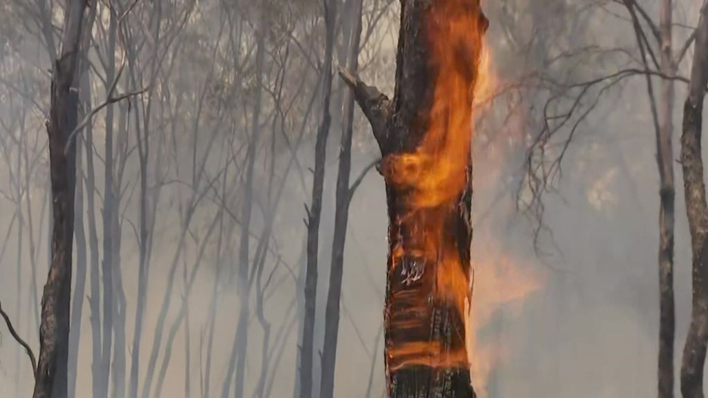 Bushfires - Topic - ABC News